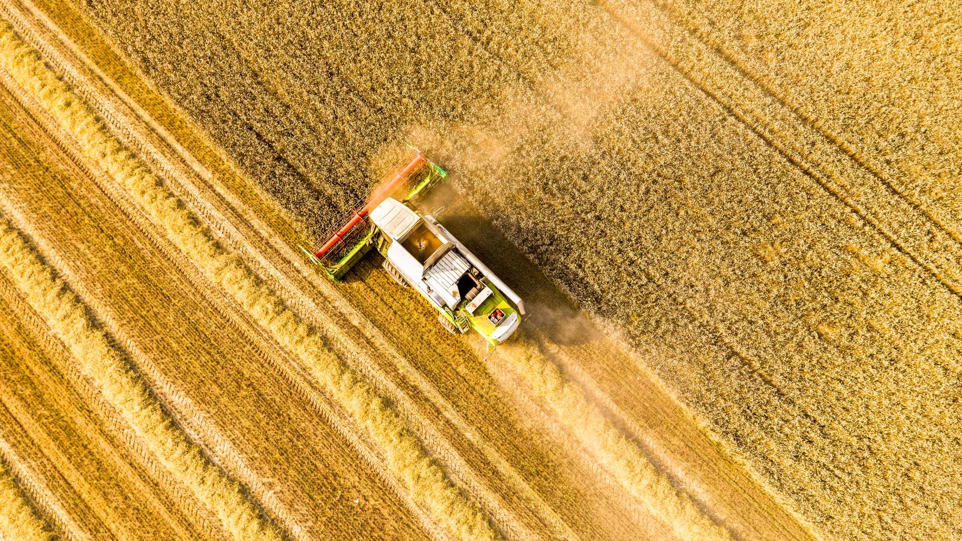 Agriculture intensive : quels impacts sur la planète